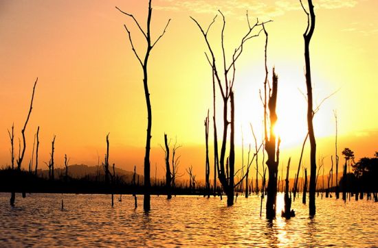 SURINAME (REPUBLIC OF SURINAME) PAX GAEA COUNTRY REPORT