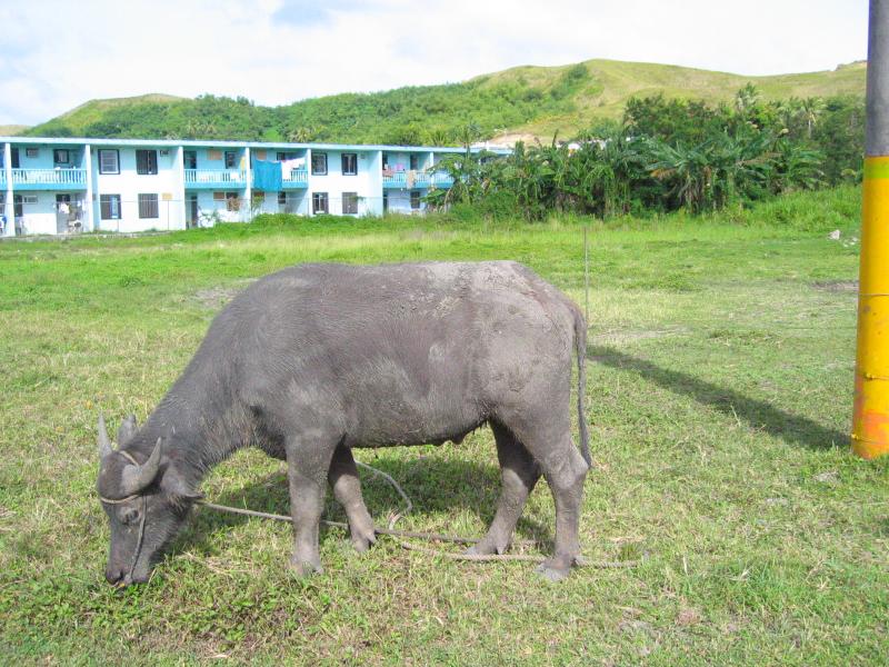 GUAM (TERRITORY OF GUAM) PAX GAEA COUNTRY REPORT