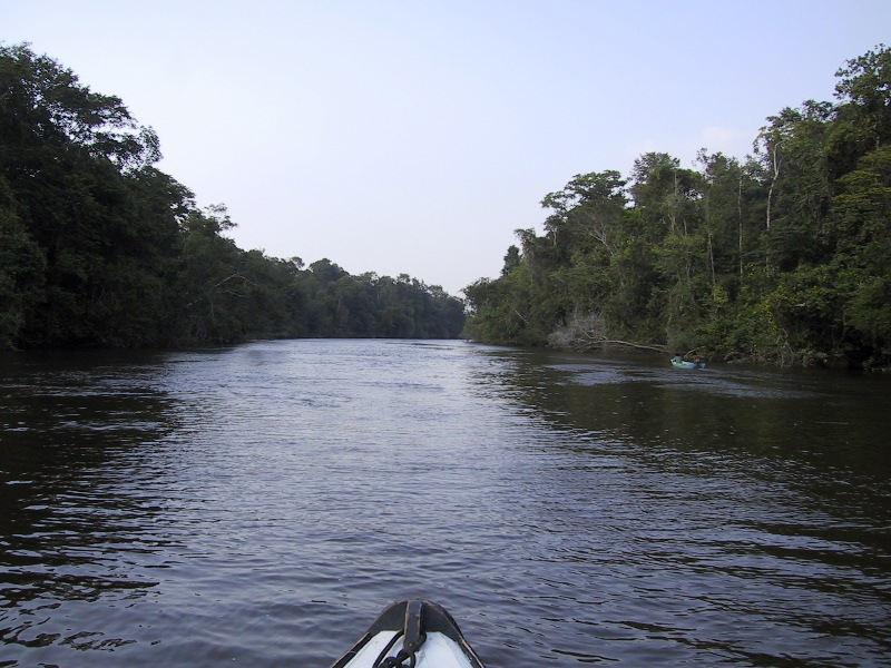 GUYANA (COOPERATIVE REPUBLIC OF GUYANA) PAX GAEA COUNTRY REPORT