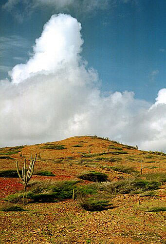 ARUBA (ARUBA) PAX GAEA COUNTRY REPORT