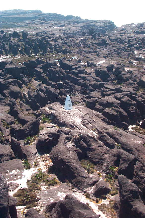 GUYANA (COOPERATIVE REPUBLIC OF GUYANA) PAX GAEA COUNTRY REPORT