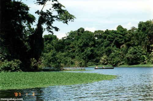 TOGO (TOGOLESE REPUBLIC) PAX GAEA COUNTRY REPORT