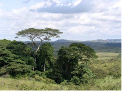 ANGOLA (REPUBLIC OF ANGOLA) PAX GAEA COUNTRY REPORT