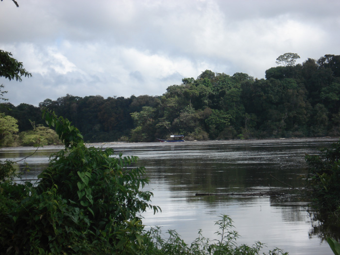 GUYANA (COOPERATIVE REPUBLIC OF GUYANA) PAX GAEA COUNTRY REPORT