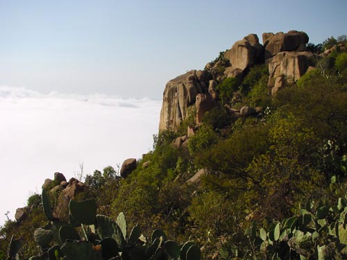 ERITREA (STATE OF ERITREA) PAX GAEA COUNTRY REPORT