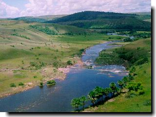 GUYANA (COOPERATIVE REPUBLIC OF GUYANA) PAX GAEA COUNTRY REPORT